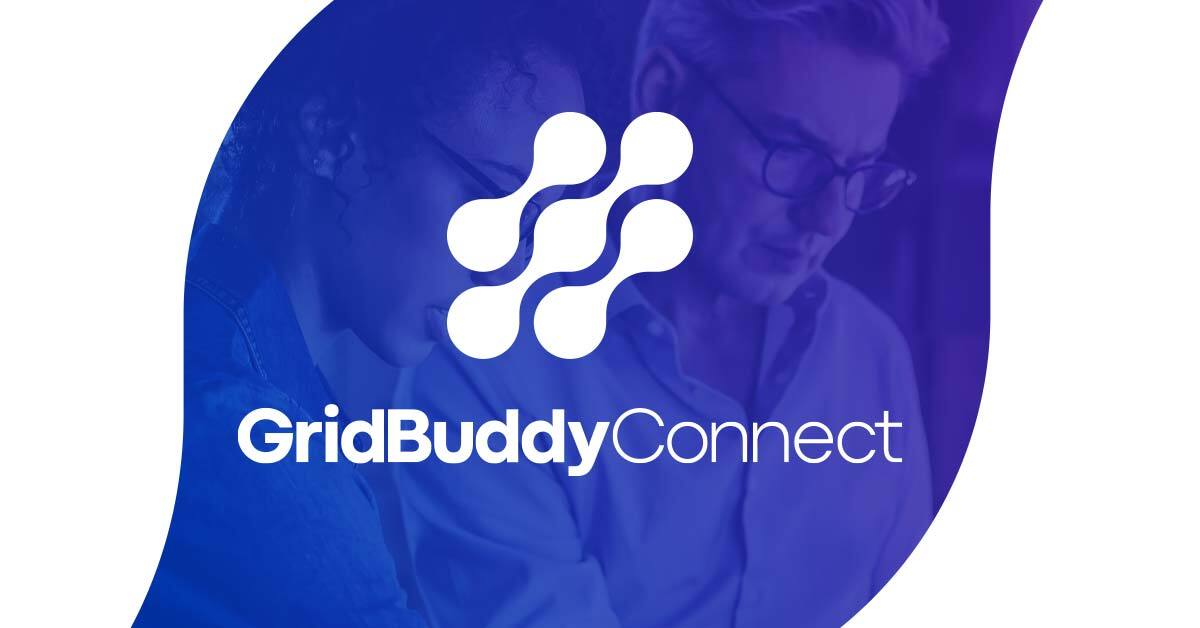 Meet the data productivity platform GridBuddy Connect | Validity Meet the data productivity platform GridBuddy Connect | Validity